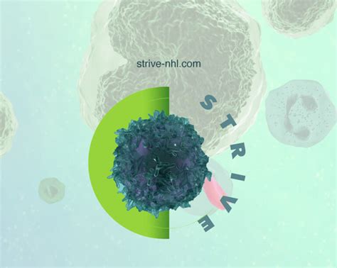 Hd Visual Learning Encompass