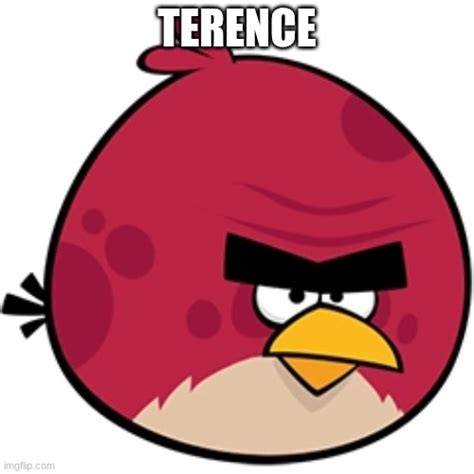 Terence Imgflip