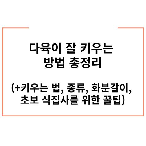다육이 키우는 방법 총정리키우는 법 종류 화분갈이 초보 식집사를 위한 꿀팁