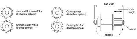 Cycle Information Freehubs And Cassettes