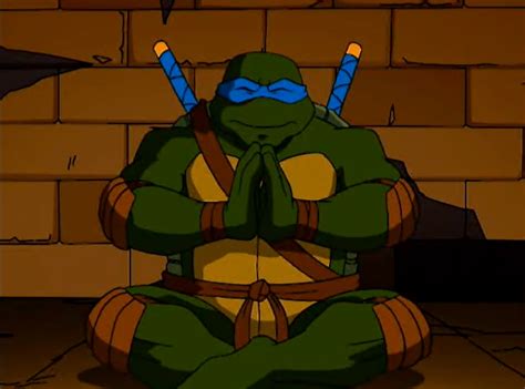 Teenage Mutant Ninja Turtles 2003 Leonardo Whose Winning This Fight