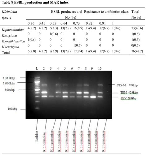 0 Esbl Genes Detection With Gel Electrophoresis Download Scientific Diagram
