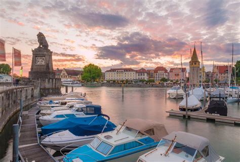 Meet Anina Mumm Scibraai