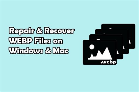 Repair And Recover Webp Files On Windows And Mac Proven Steps