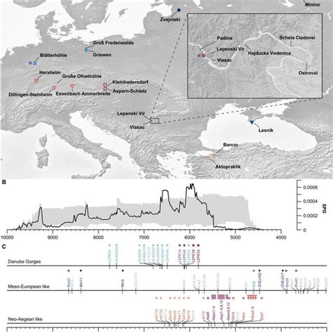 Spatial And Temporal Distribution Of The Ancient Nuclear Genomic