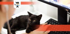 How To Remove Dell Monitor Stand A Detailed Step By Step Guide