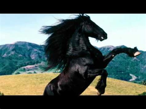 Vicente Fernandezcaballo Prieto Azabache Youtube