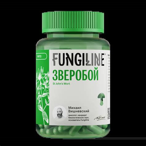Fungiline – Natural mushroom supplements for your health – Natural ...
