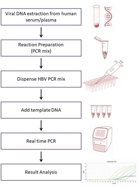 Advancements And Challenges In Hepatitis B Virus Detection Video Jove