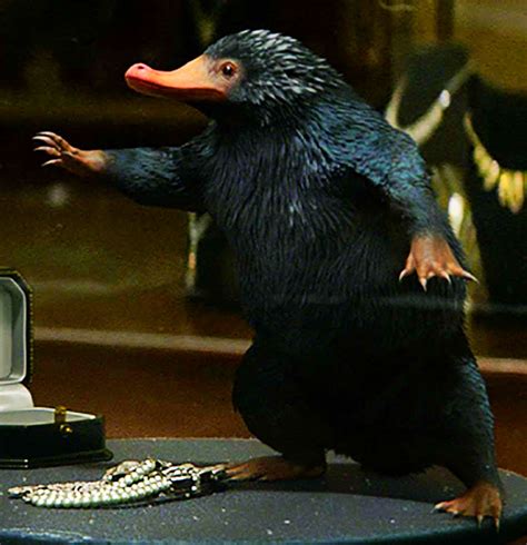 Snaso Harry Potter Wiki Fandom Powered By Wikia