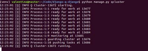 asynchronous tasks in django with django q