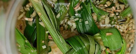 Top Ferments To Try For 2022 Starter Sisters