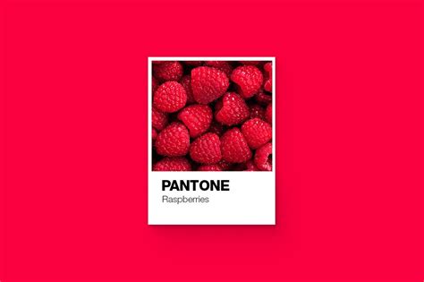 Raspberry Color Pantone Raspberry Color Pantone