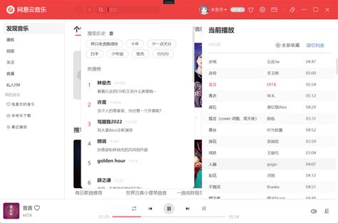 使用 C 和 Wpf 开发网易云音乐 董川民