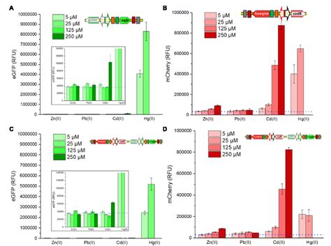 Figure 1 From Differential Detection Of Bioavailable Mercury And