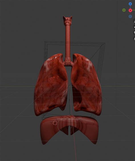 Texturing My Textures Are Being Mirrored Also How Do I Get The