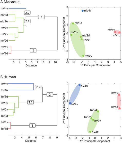 hierarchical clustering and principal component analysis pca aiming