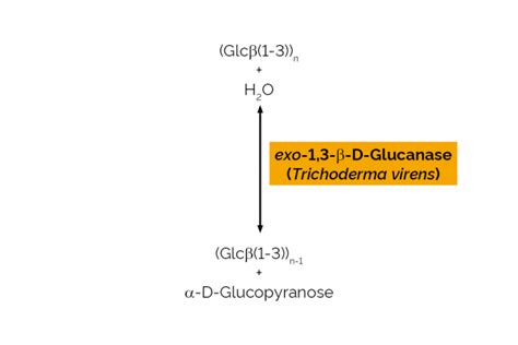 Exo 1 3 Beta D Glucanase Trichoderma Virens Enzyme Megazyme