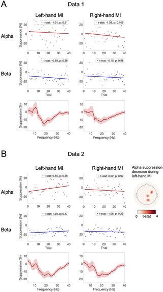 the effect of visual and proprioceptive feedback on sensorimotor