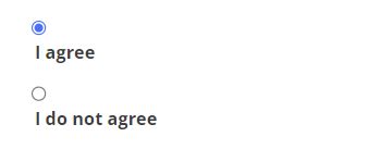 Radio Button Not Showing Up Properly Get Help Gravity Forms