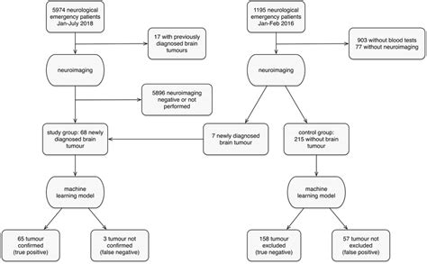 Flow Chart Of Patients Included In The Validation Process Download Scientific Diagram