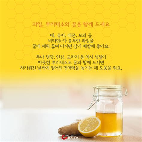 카드뉴스 달콤달콤 따끈따끈 꿀을 드세요 당신의 건강가이드 헬스조선