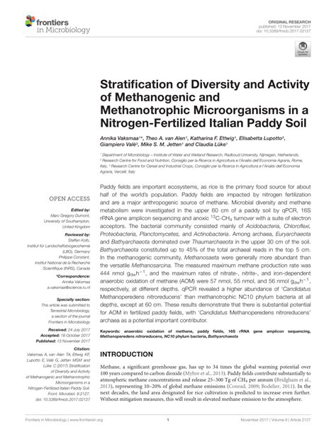 Pdf Stratification Of Diversity And Activity Of Methanogenic And