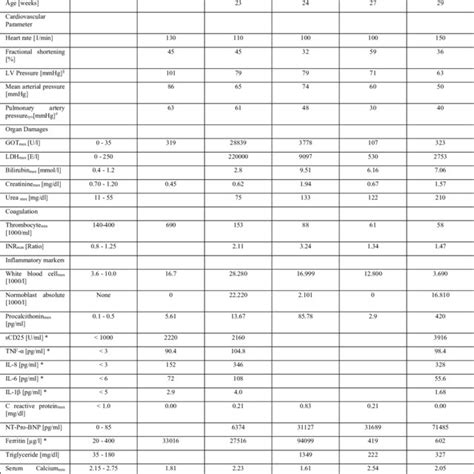 The Conceptual Framework Elements For Mixed Methods Approach Download Scientific Diagram