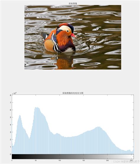 Fpga与matlab图像处理之直方图均衡化matlab 直方图均衡化 Csdn博客