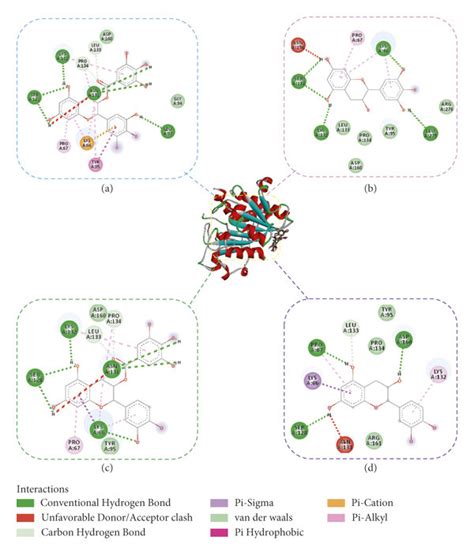 Three Dimensional 3d And Two Dimensional 2d Binding And Interaction Download Scientific