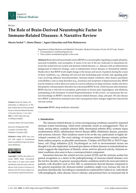 Pdf The Role Of Brain Derived Neurotrophic Factor In Immune Related Diseases A Narrative Review