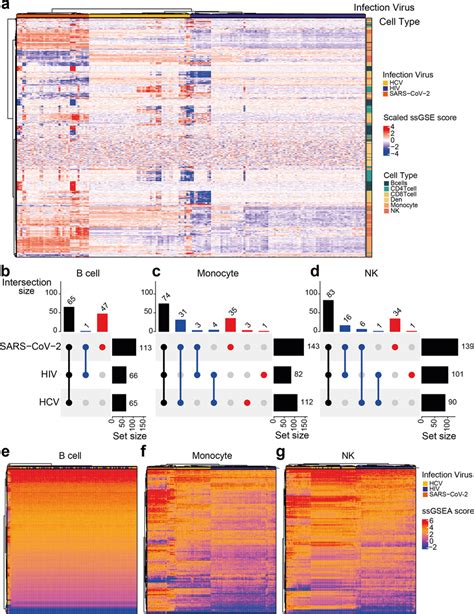 Function Enrichment Of Cell Specific Gep A Heatmap Of Enrichment Scores