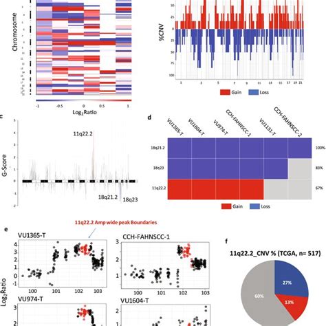 Fa Hnscc Copy Number Expression Correlation Analysis Elevated Copy Download Scientific Diagram