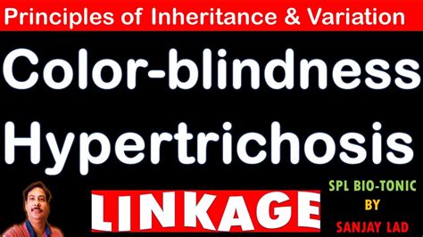 Sex Linked Inheritance Color Blindness And Hypertrichosis Inheritance And Variation Maharashtra
