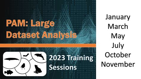 Pam Large Dataset Analysis