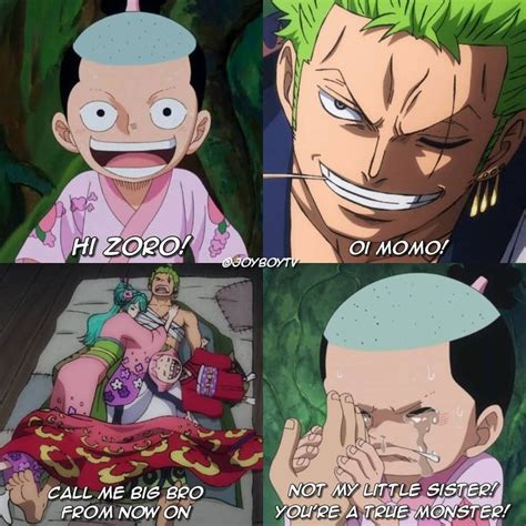 Zoro And Momonosuke How The Tables Have Turned One Piece Cartoon Dragon Ball Super Funny