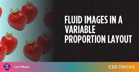 Fluid Images In A Variable Proportion Layout Rfrontend
