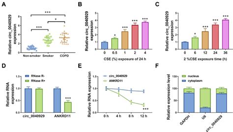 circ 0040929 was overexpressed in copd patients and cse exposed 16hbe
