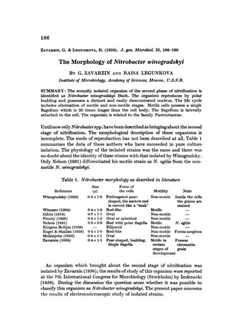 Morphology Of Nitrobacter Winogradskyi Pdf Organisms Microscopy
