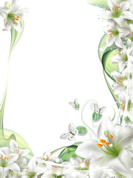 Free Lily Frame Cliparts Download Free Lily Frame Cliparts Png Images Free ClipArts On Clipart