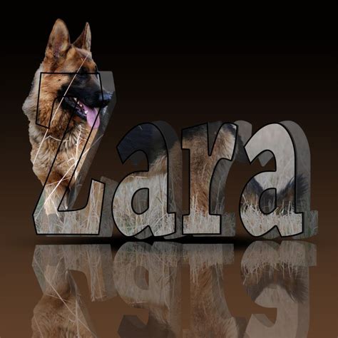 🐶🐕 Just A Little Touch Of Creativity Saumya Piumi