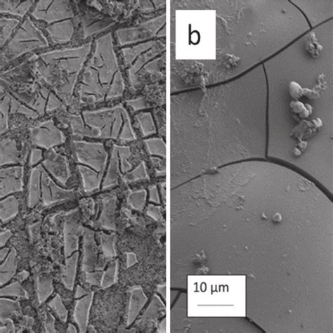 A B Fe Sem Photograph Of Surface Morphology Coated Zro 2 On Tubular
