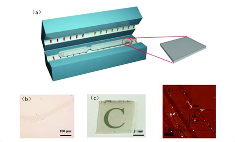 A Strategy Of Synthesizing A Conductive Carbon Based Membrane On A Download Scientific