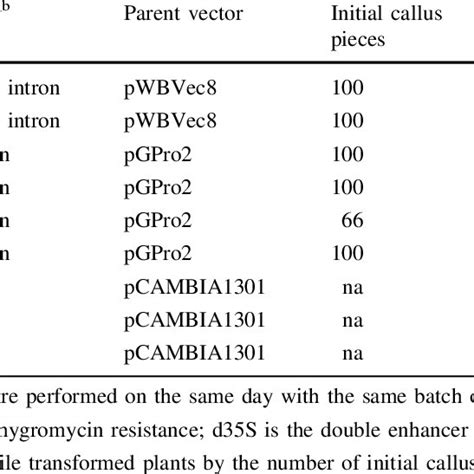 Transformation Efficiency Download Table Transformation Efficiency Download Table