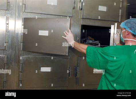 A Mortuary Technician Removes A Human Body From A Cold Storage Facility