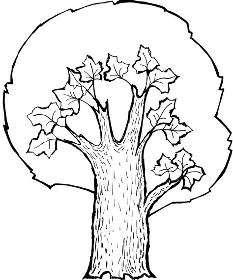 Cartoon Maple Tree Yellow Maple Vector Tree Yellow Maple PNG And Vector With Transparent