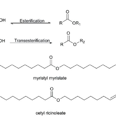 Scheme 12 A Direct Esterification Or Transesterification Reactions Download Scientific