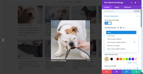 Divi Plugin Highlight Divi FilterGrid