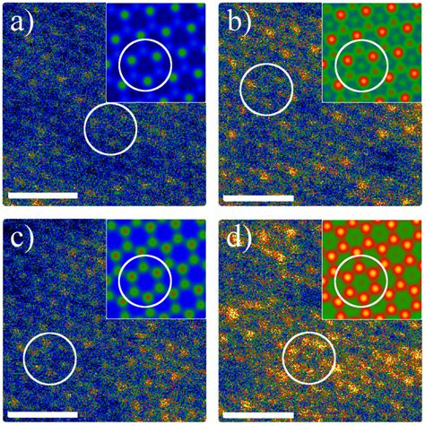 false color stem intensity patterns of enlarged selections from figure