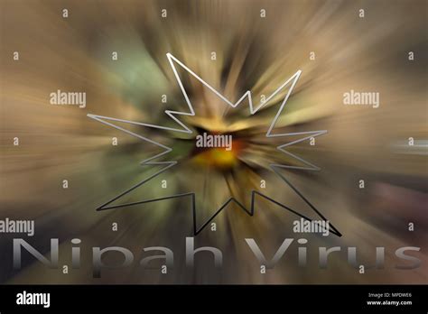 Nipah Virus Infection Niv Is A Viral Zoonosis Caused By Nipah Virus